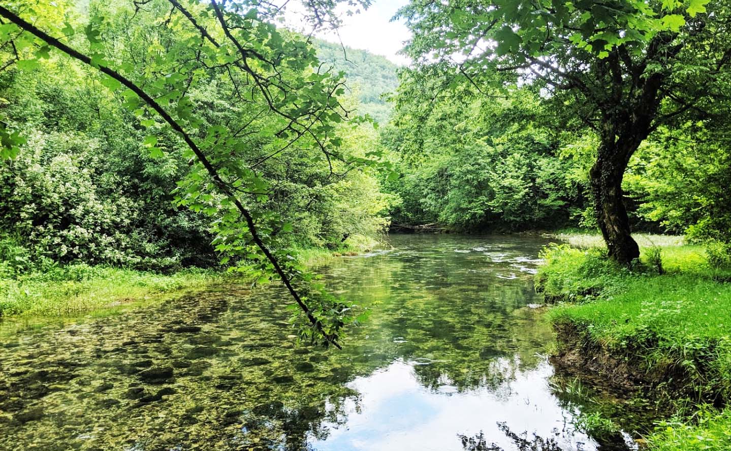 Izvor rijeke Ribnik » Turistički informativni centar » Ribnik