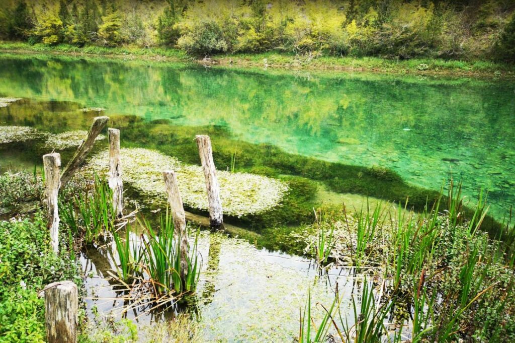 Izvor rijeke Ribnik » Turistički informativni centar » Ribnik