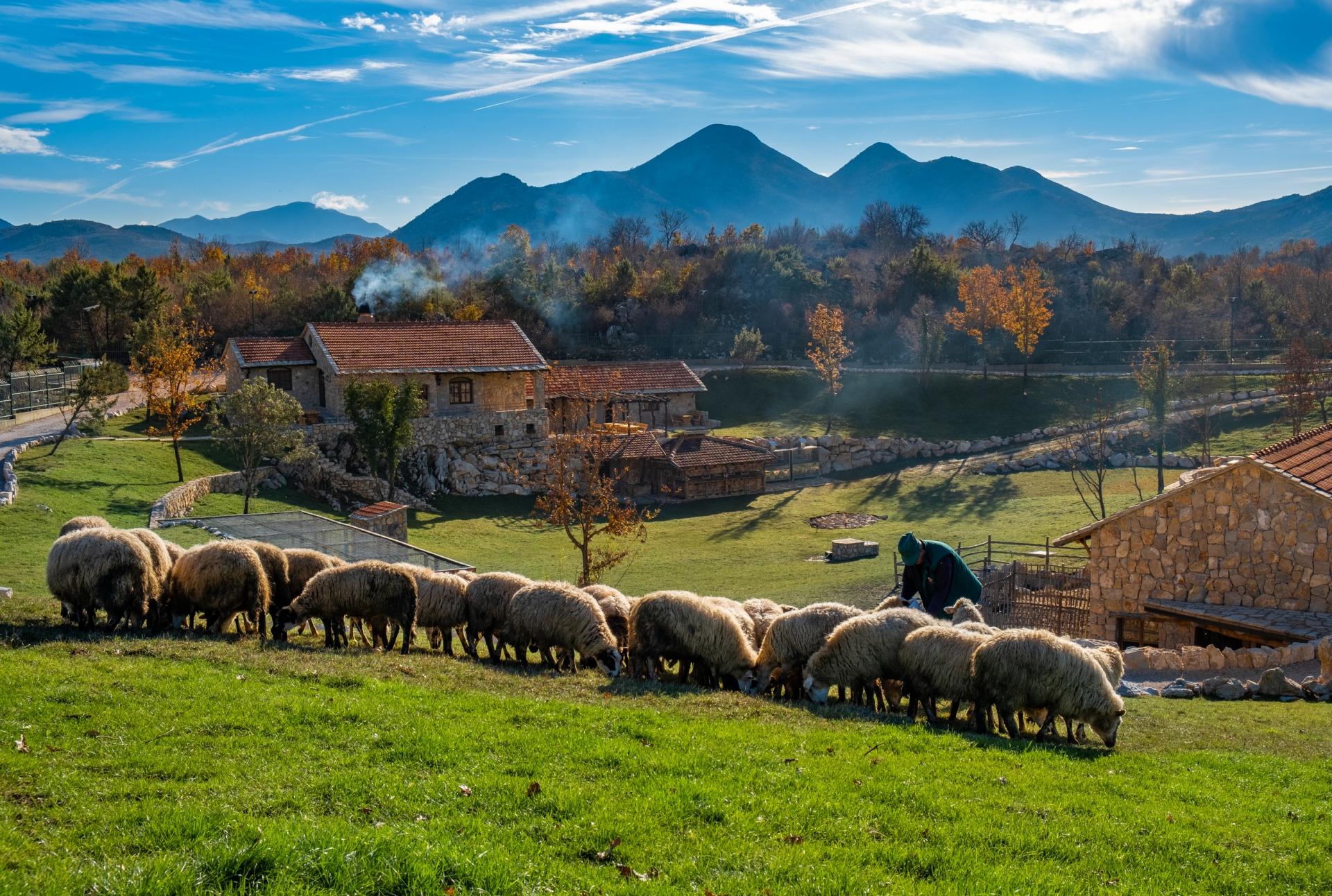 Etno selo Grad Sunca » Turistički informativni centar » Trebinje
